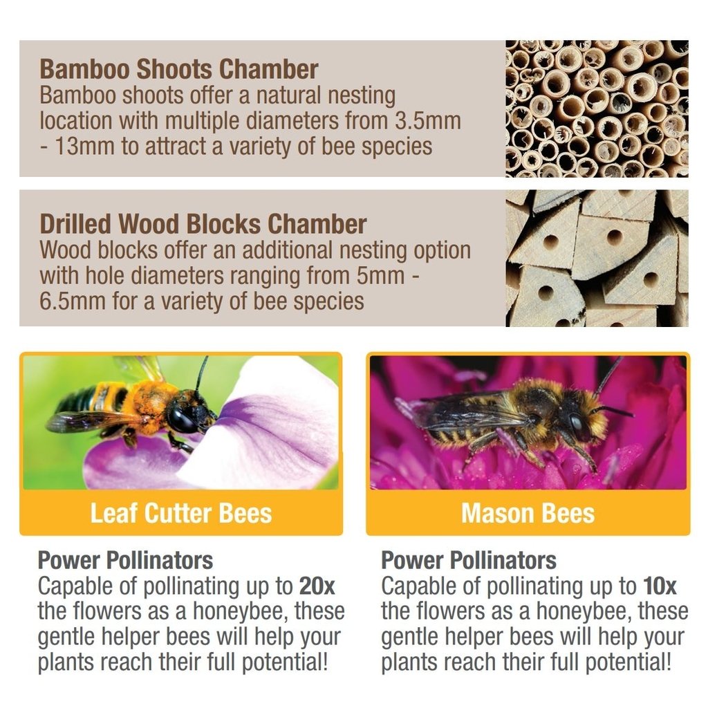 Insect Houses – AspenSong Bistro